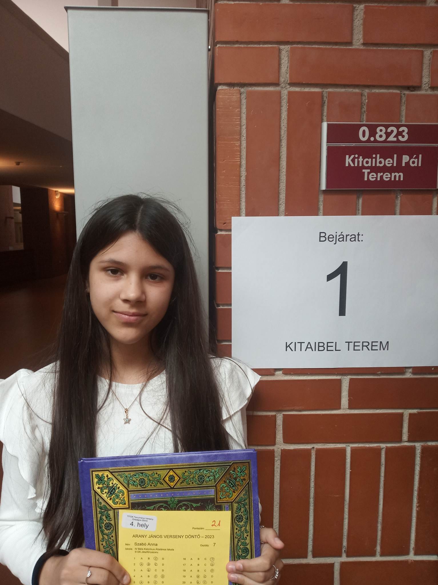 Arany János országos magyar verseny